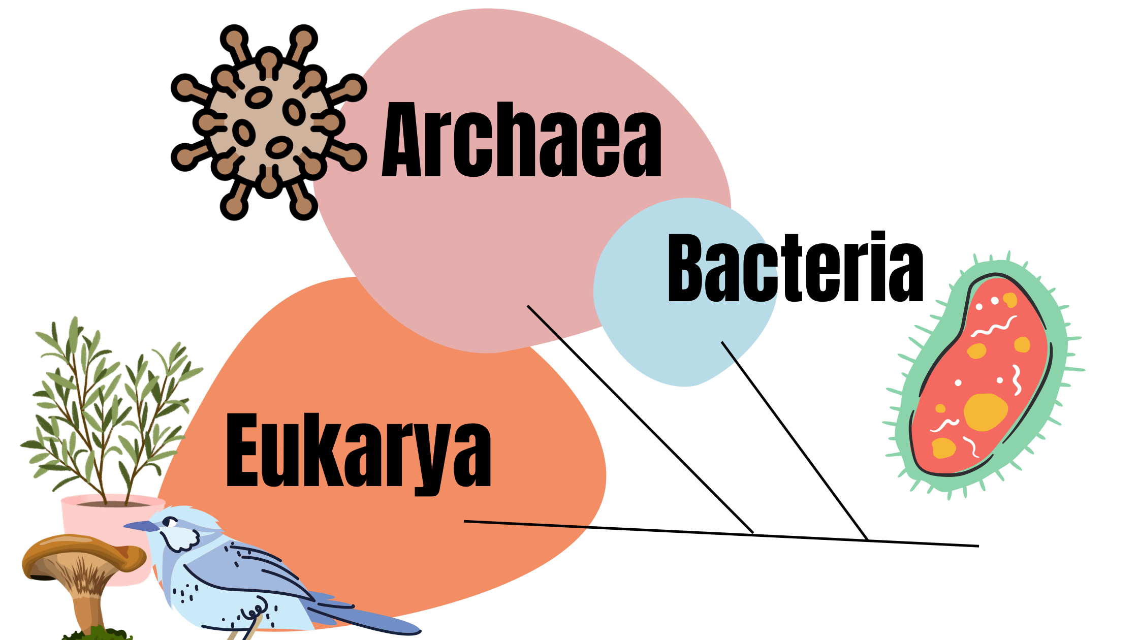 Biodiversity | Interactive Learning Module – Compassion Crossing