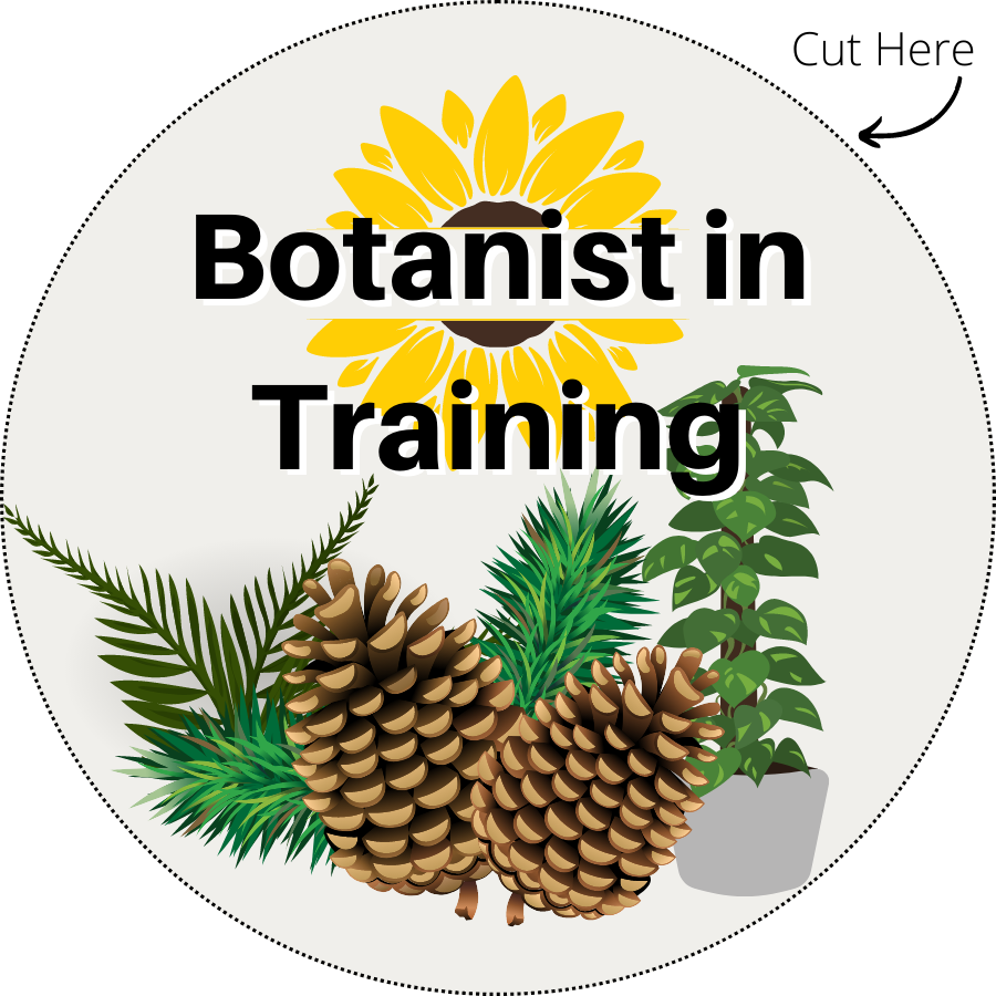 Cubs Corner: Botany – Compassion Crossing