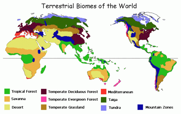 Earth Day | Interactive Learning Module – Compassion Crossing