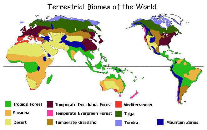 Earth Day | Interactive Learning Module – Compassion Crossing